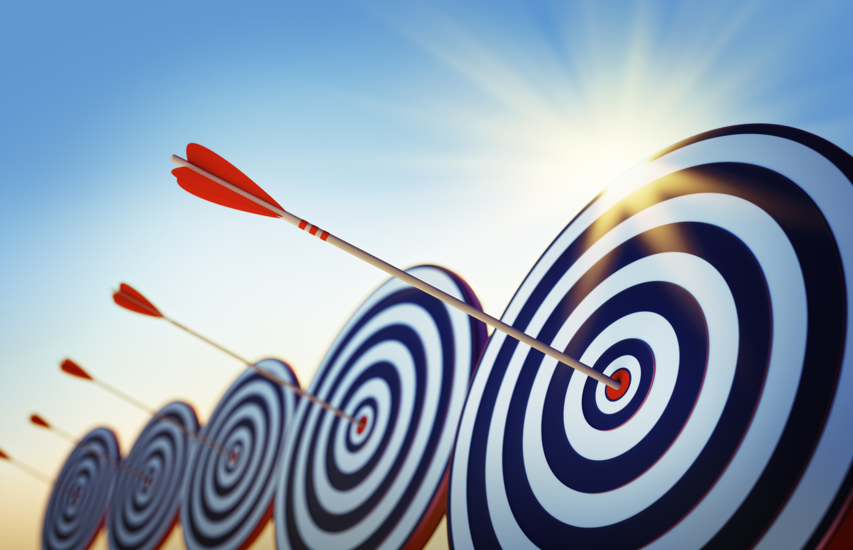 Ziele und Aufgaben - DICO e.V.